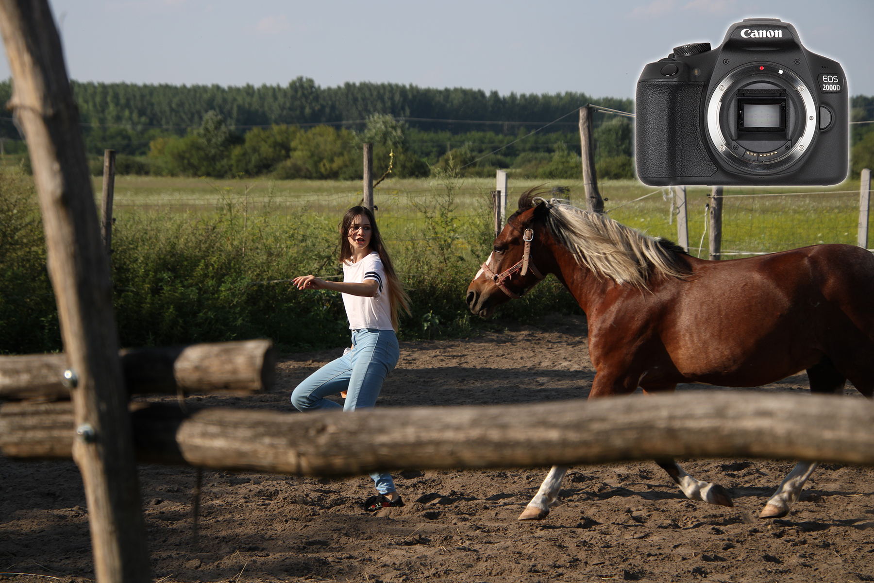 Galéria: Canon EOS 2000D (tesztfotók) - Pixinfo.com